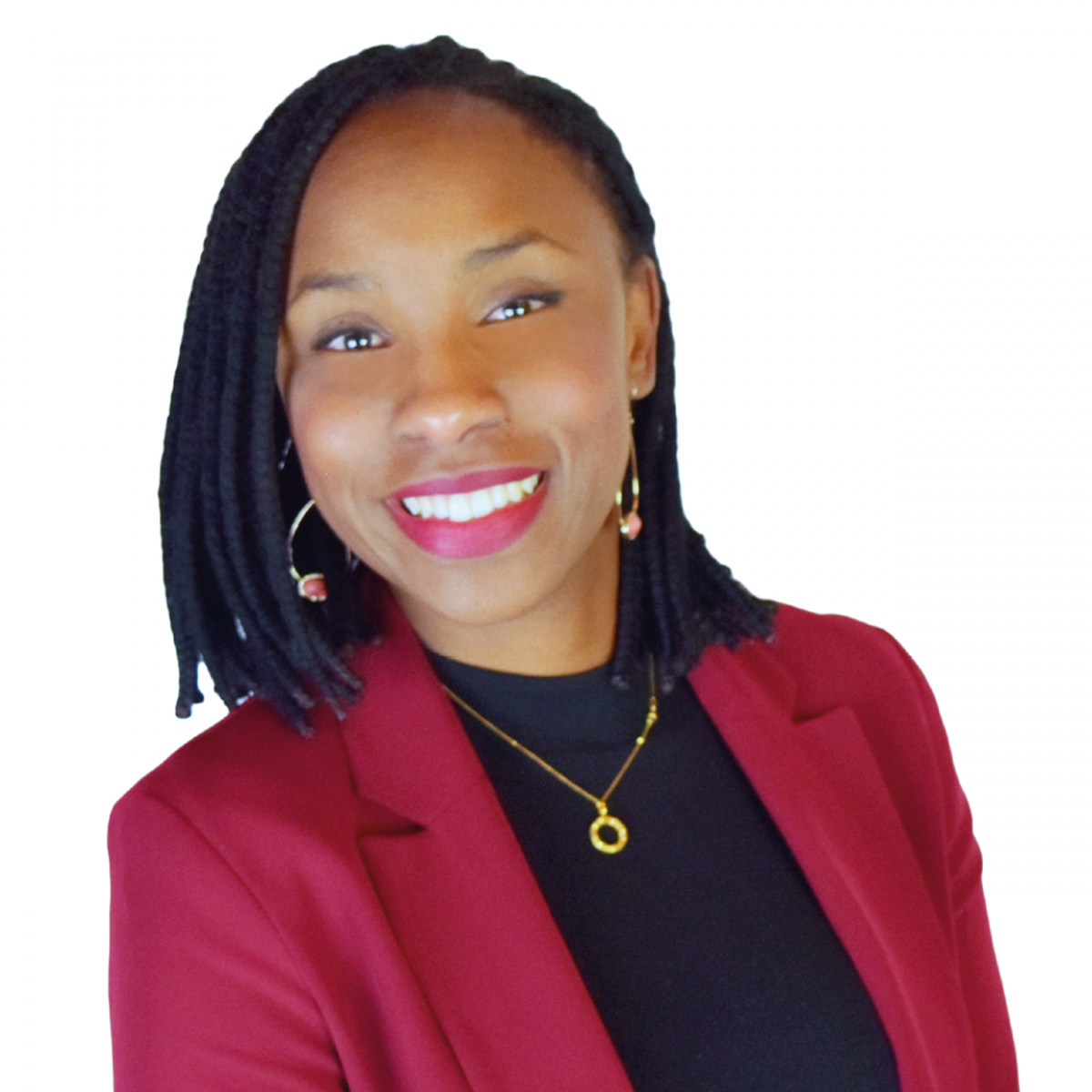 Profil mobilisation - Institut du Nouveau Monde